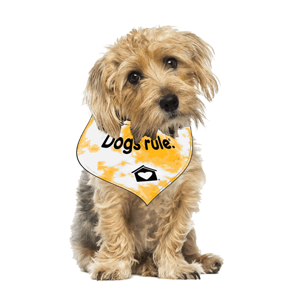 Pedigree Adoption: Every Dog Deserves a Home