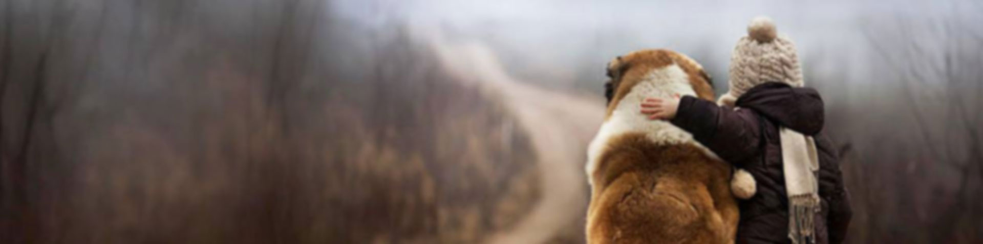 Animal Shelter Volunteer | Helping Dogs | PEDIGREE®