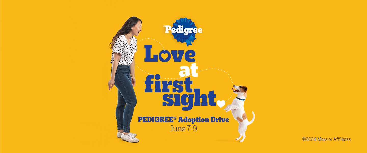 Pedigree Adoption Drive | PEDIGREE®
