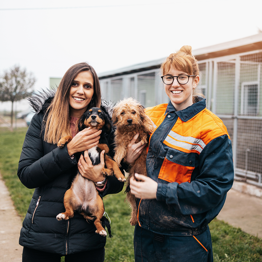 Pedigree Adoption Hub | PEDIGREE®